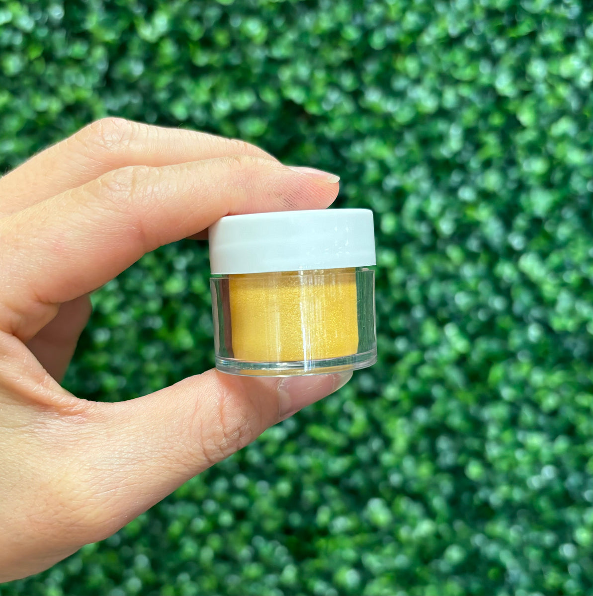 Kings Gold Lustre Dust – Bean and Butter