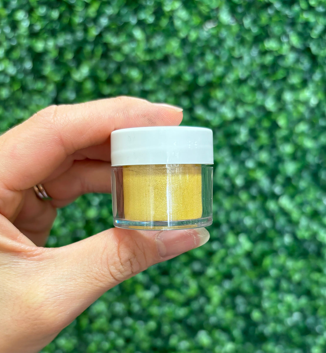 Shiny Gold Lustre Dust – Bean and Butter