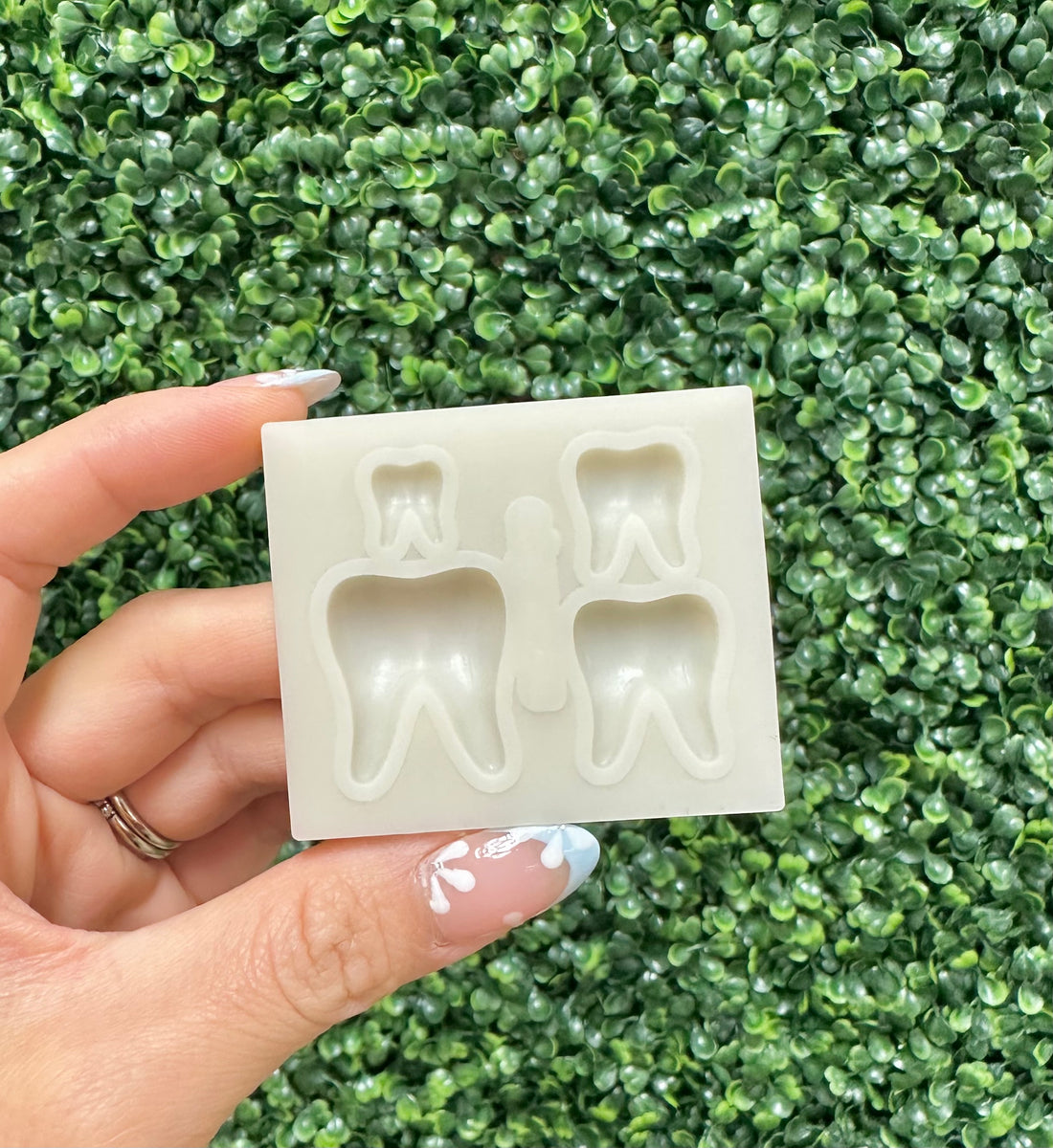 4 Assorted Teeth – Bean and Butter