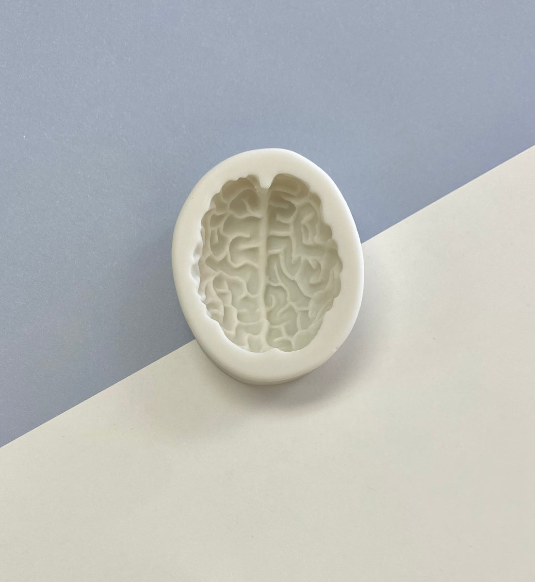 3D Brain – Bean and Butter